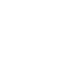 CSSM - Competency & Credentialing Institute